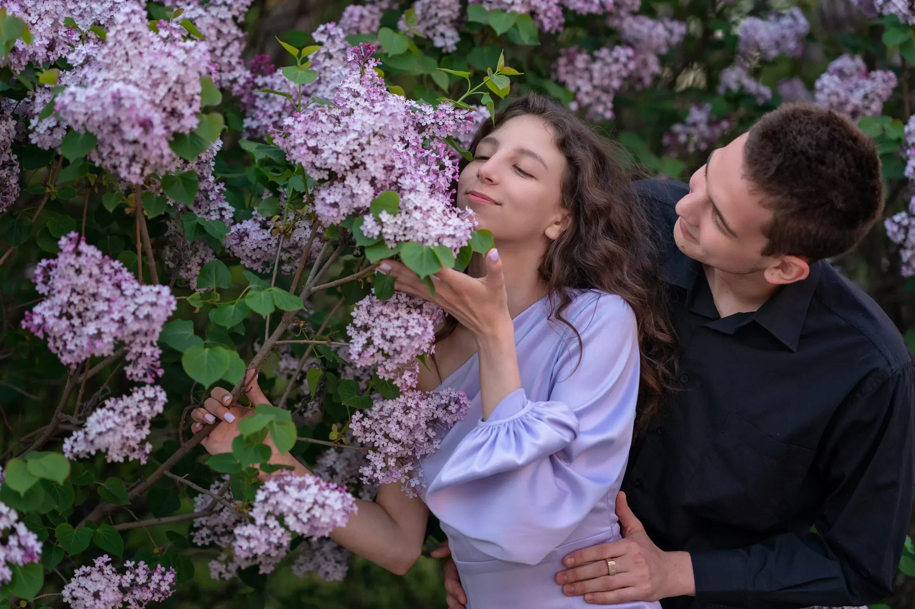 Unlocking the Mystery of Lilac Flowers: What Do They Truly Symbolize ...
