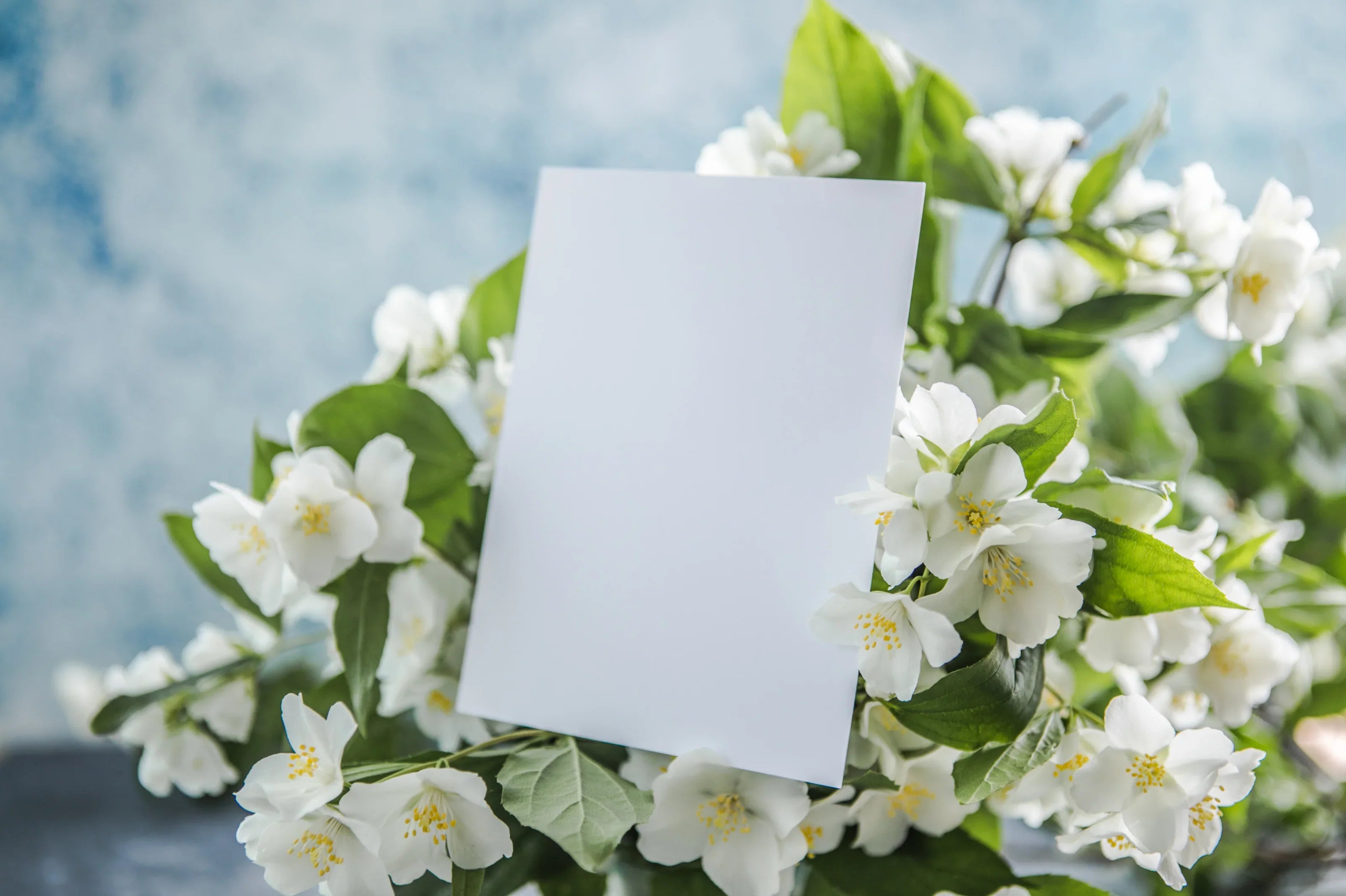 A Guide on Finding the Right Words for Sympathy Cards – Monsoon Flowers