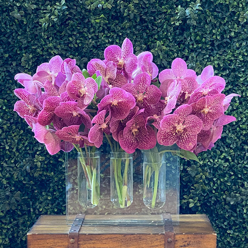 Abloom Florist – Fresh, Stunning Flowers for Every Occasion – Monsoon ...
